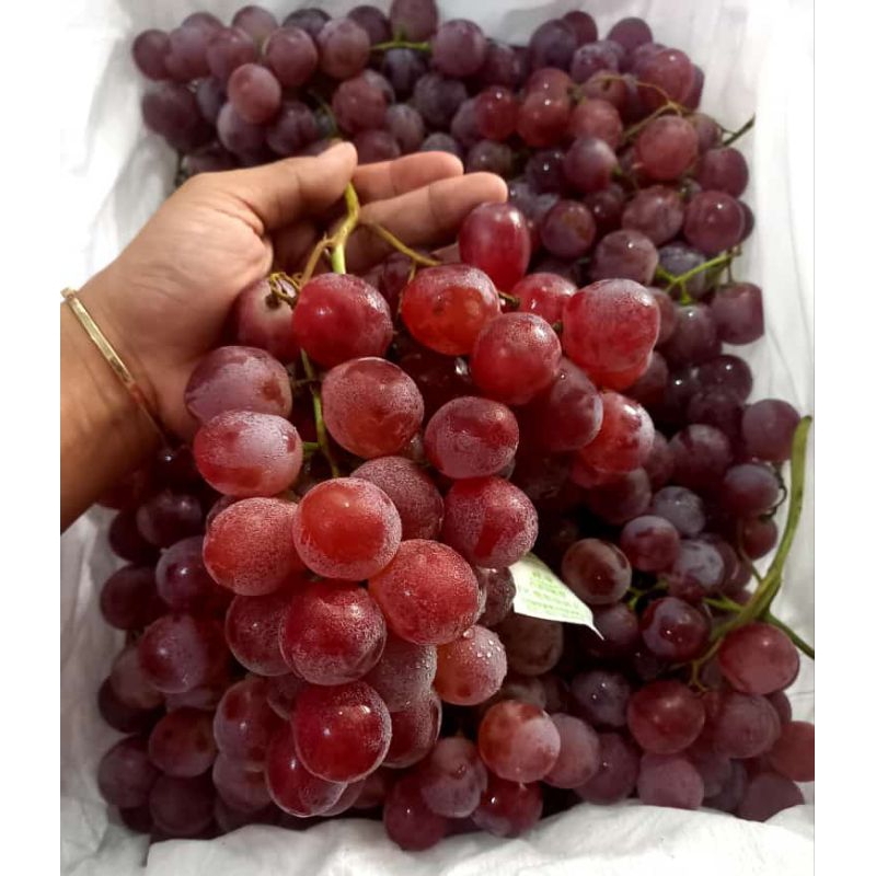 Jual Buah Anggur Red Globe 1 kg | Shopee Indonesia