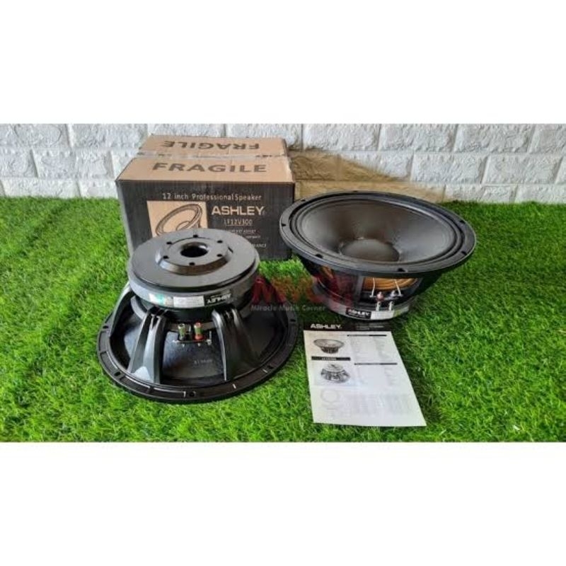 Jual Isi Speaker Ashley LF-12V300 | 12 inch | Shopee Indonesia