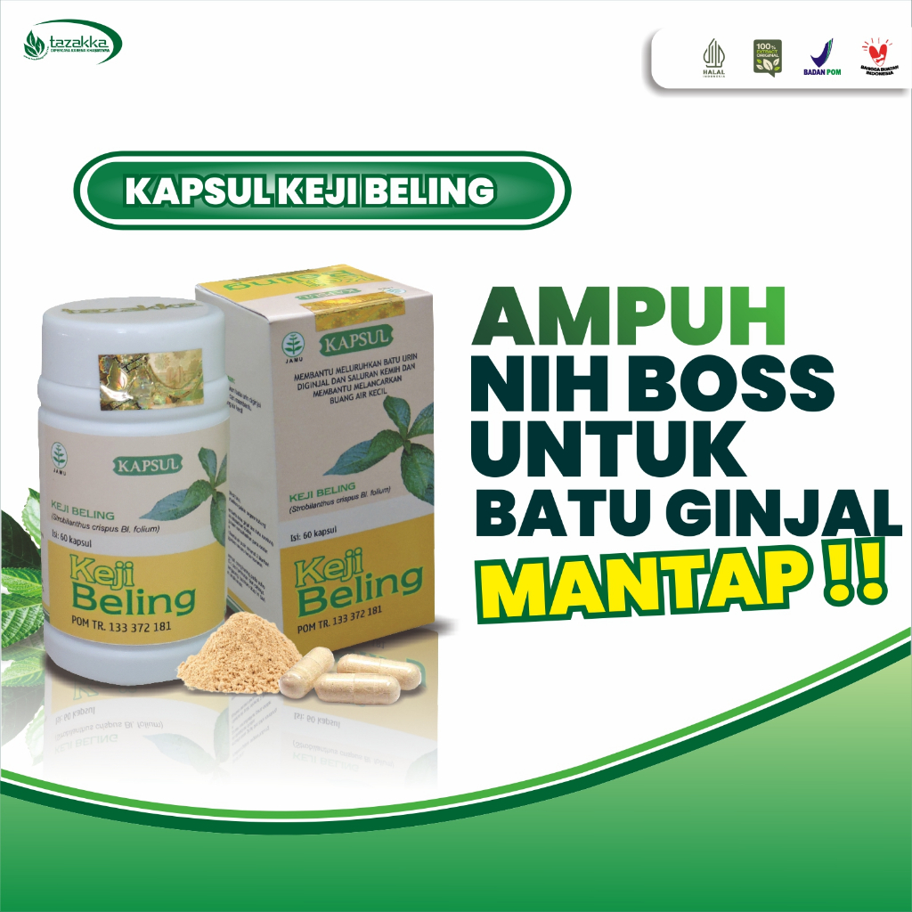 Jual Obat Batu Ginjal Ekstrak Keji Beling Tazakka 60 kapsul sudah BPOM ...