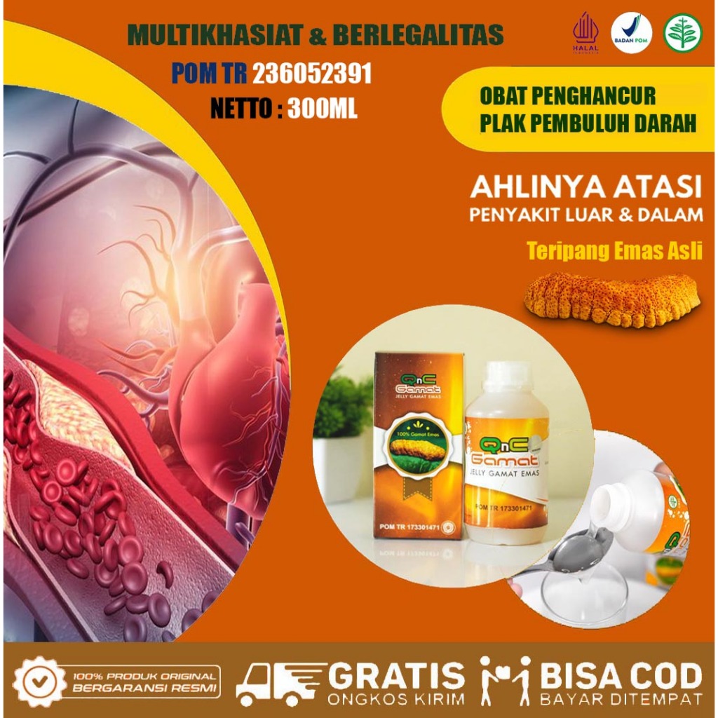 Jual Obat Penyumbatan Pembuluh Darah, Penyempitan Pembuluh Darah, Obat ...