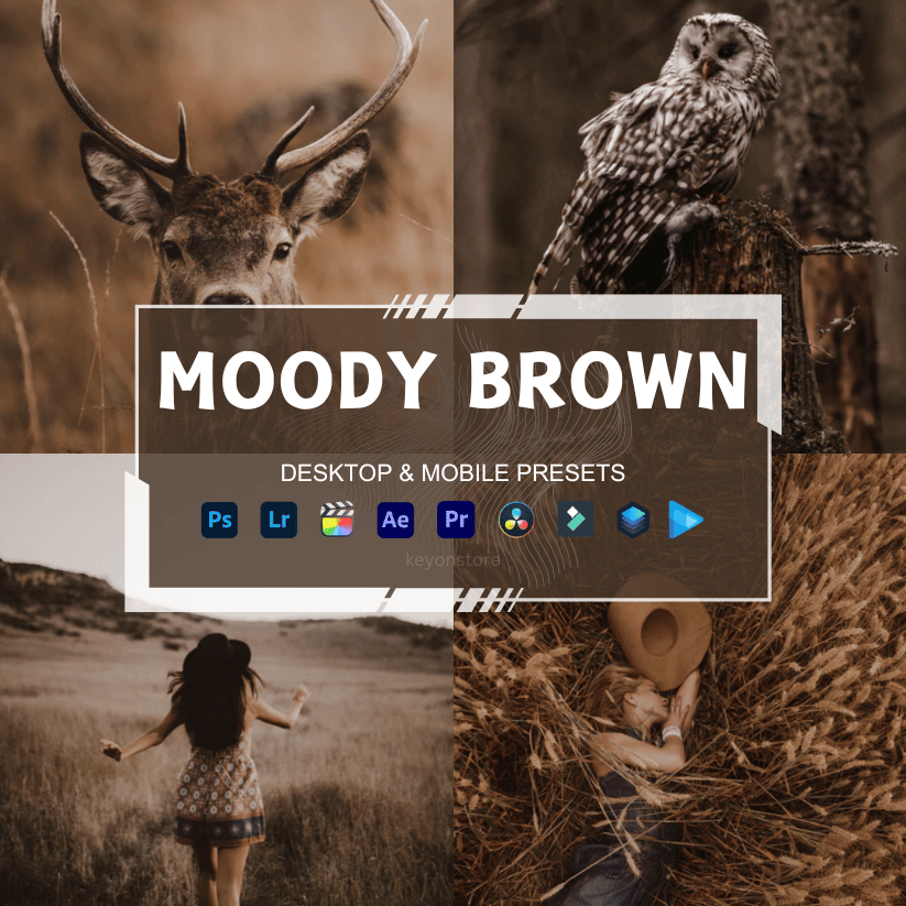 Jual Preset Lightroom Premium - 5 Moody Brown + LUTs | Shopee Indonesia