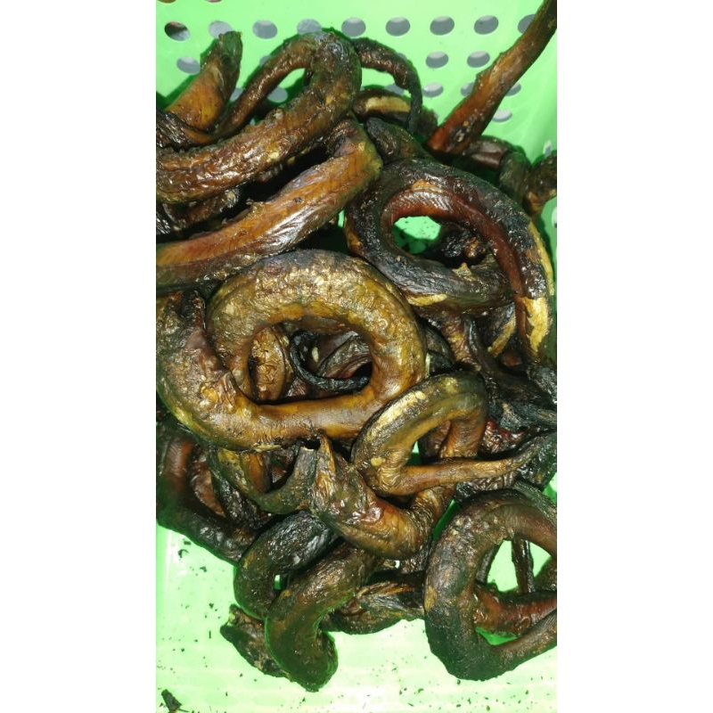 Jual belut bakar fakum | Shopee Indonesia