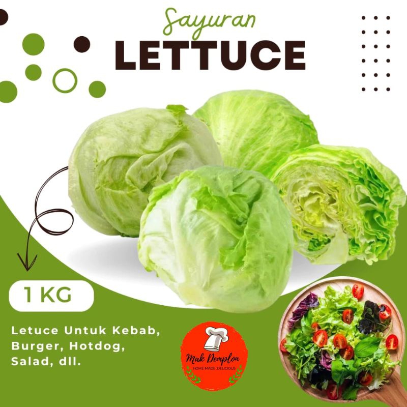 Jual Lettuce Lectus Sayuran Hijau 1kg | Shopee Indonesia