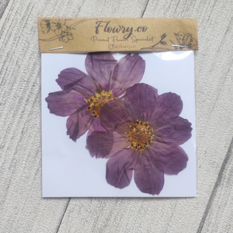 Jual 1 PACK pressed flower PART 1 bunga kering asli bahan diy craft ...