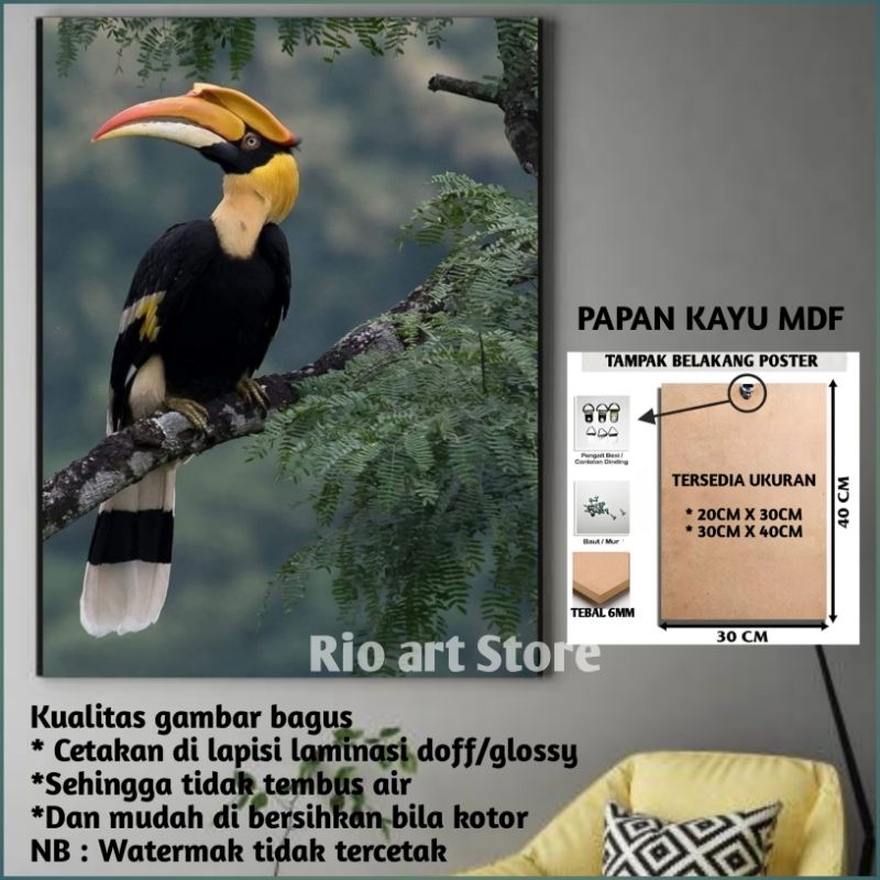 Jual Hiasan dinding poster burung koak untuk walldekor atau dekorasi ...