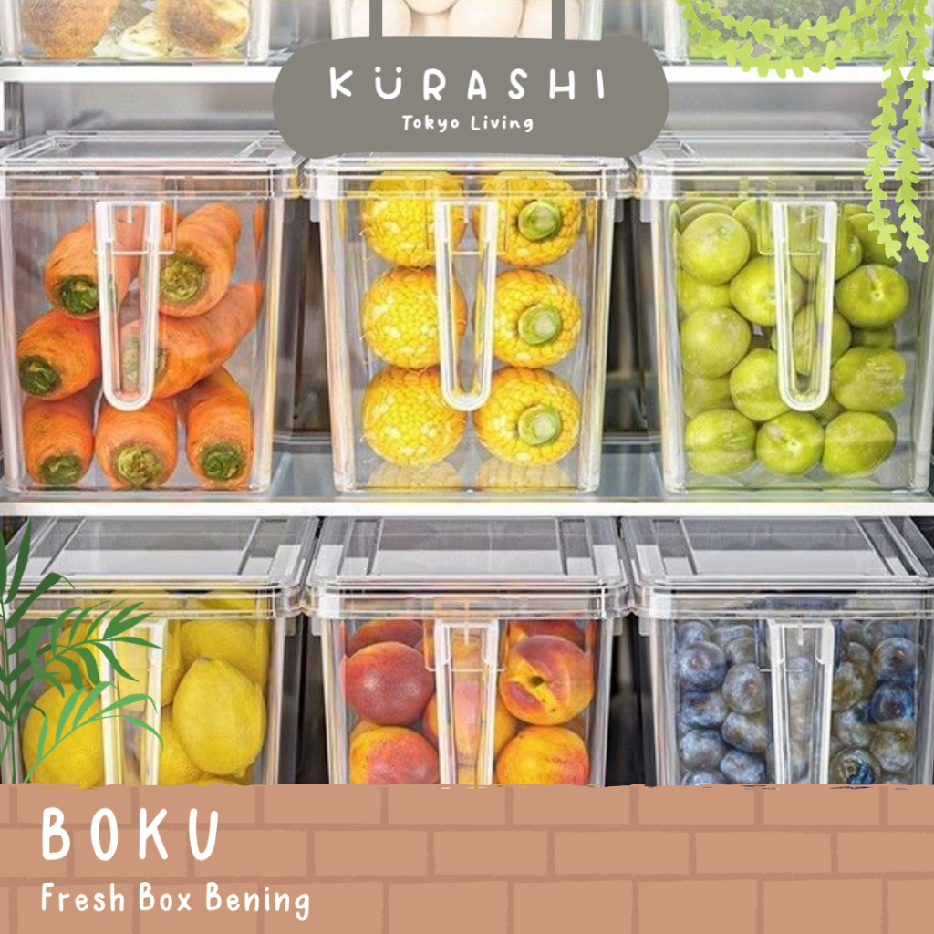 Jual 【KURASHI】BOKU Organizer Fresh Box Praktis Wadah Simpan Makanan ...