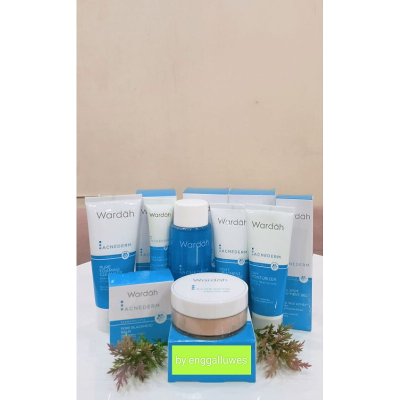 Jual PAKET WARDAH ACNE DERM | Shopee Indonesia