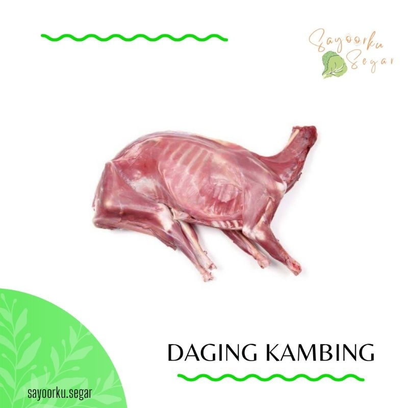 Jual KIRIM BESOK Daging kambing segar / sate kambing / daging gule ...