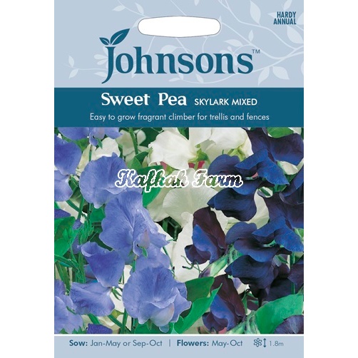 Jual Benih 3 Biji Bunga SWEET PEA Skylark Mixed | Shopee Indonesia