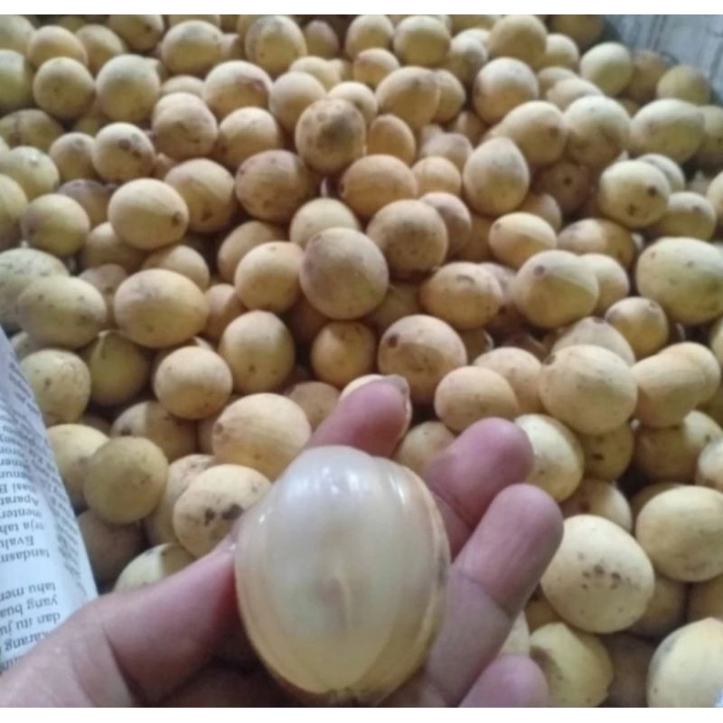 Jual Buah Duku Palembang 1 Kg Buah Duku Asli Palembang 1 Kg Shopee Indonesia