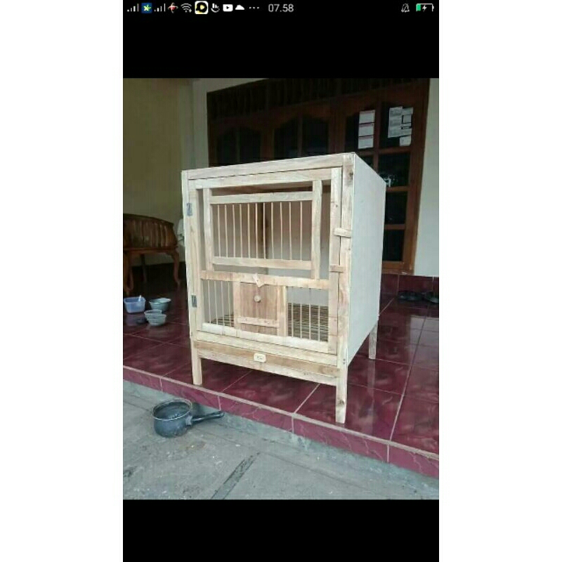 Jual kandang Merpati | Shopee Indonesia