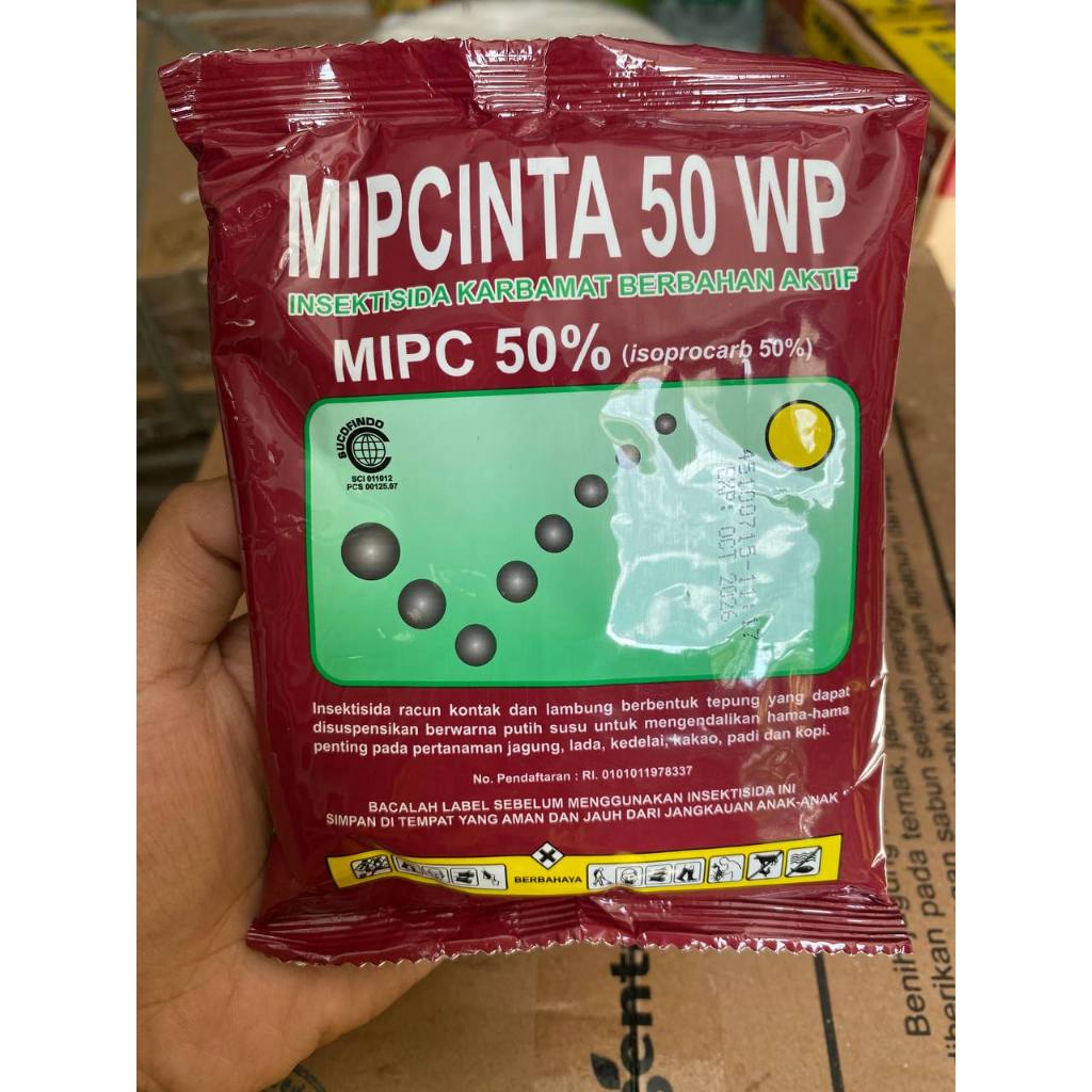 Jual Insektisida Mipcinta 50Wp 100Gr. Bahan aktif :Mipc 50%-Obat Semprot Hama Padi Walang Sangit ...