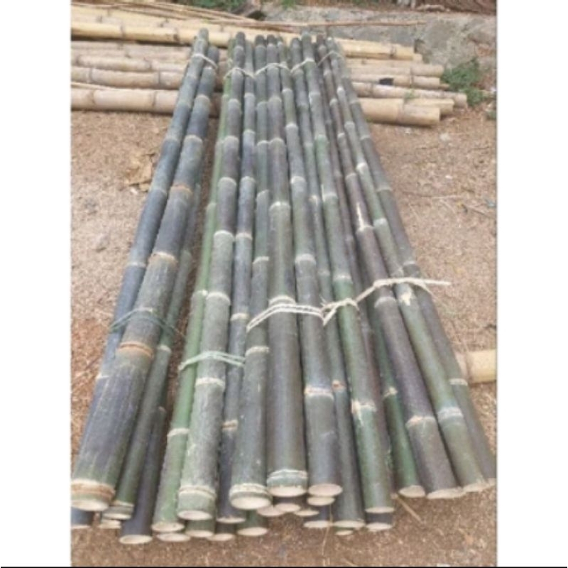 Jual bambu hitam bulat utuh bambu ulung tua Panjang 50-150cm | Shopee ...