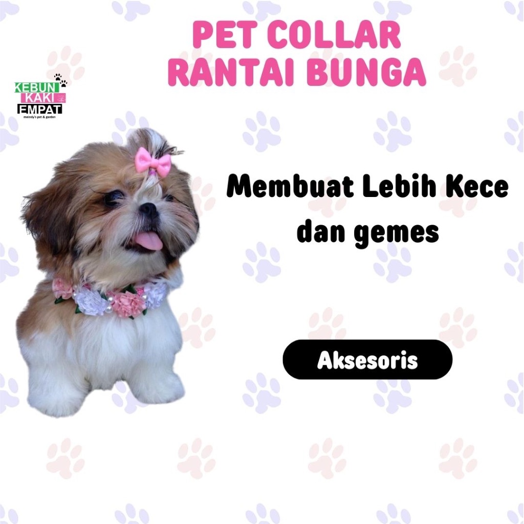 Jual Pet Collar - Kalung Kucing - rantai bunga - Termasuk Kerincingan ...