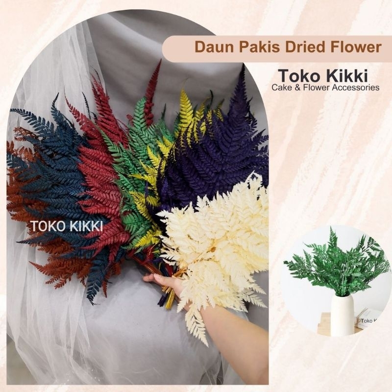 Jual Daun Pakis Dried Flower / Daun Kering/ Bunga Kering | Shopee Indonesia