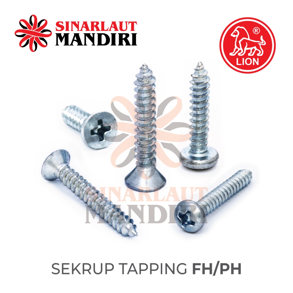 Jual Sekrup Tapping / Tapping Screw HPL FH+ 8x3/8 ECER | Shopee Indonesia
