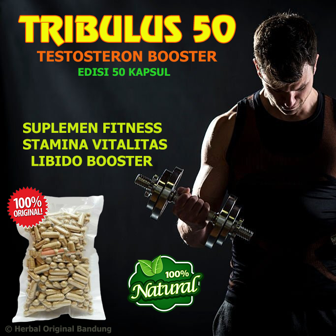 Jual TRIBULUS HORMON TESTOSTERON Suplemen Fitness Pembentuk Otot ...