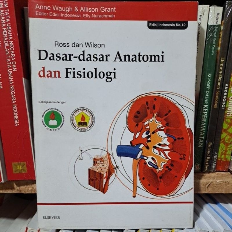 Jual dasar dasar anatomi dan fisiologi | Shopee Indonesia