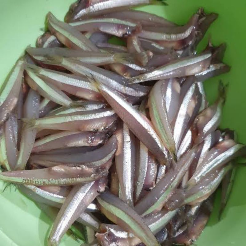 Jual Ikan Teri Basah 500 Gram | Shopee Indonesia
