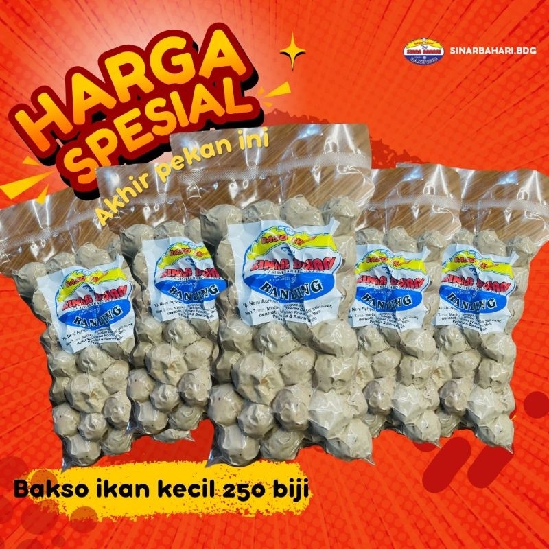 Jual Bakso ikan sinar bahari ukuran Kecil pack isi 250 butir (1 BAL ...