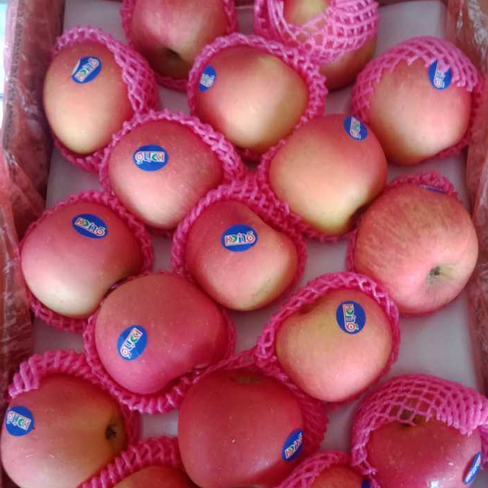 Jual APEL FUJI (pack ± 1 kg) | Shopee Indonesia