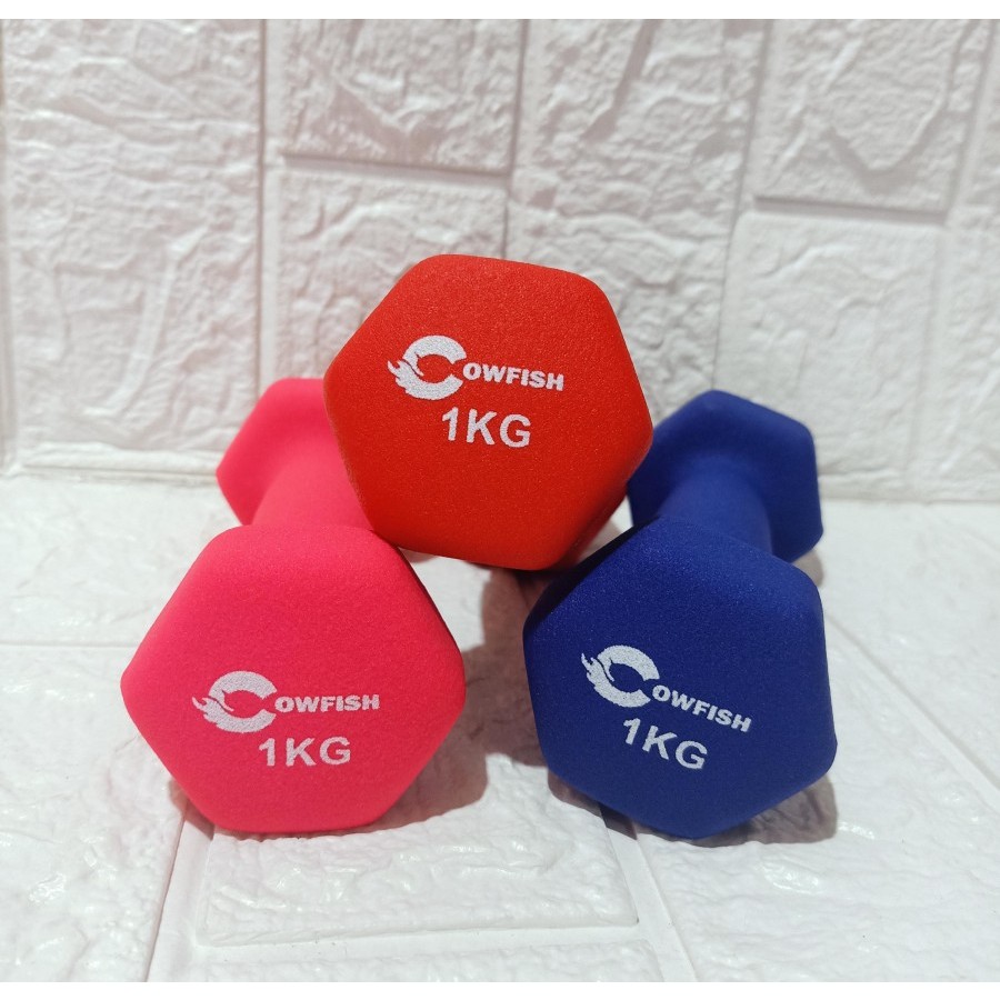 Jual NEW!! DUMBLE / BARBEL / ALAT ANGKAT BEBAN 1 KG COWFISH VINYL ...