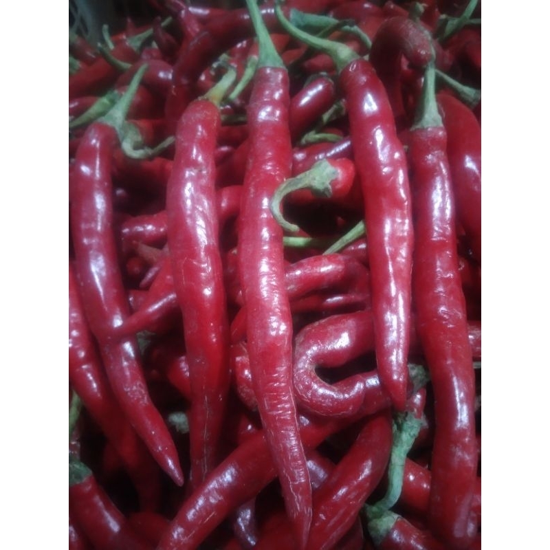 Jual 1 kg gr, cabe merah besar fresh. | Shopee Indonesia