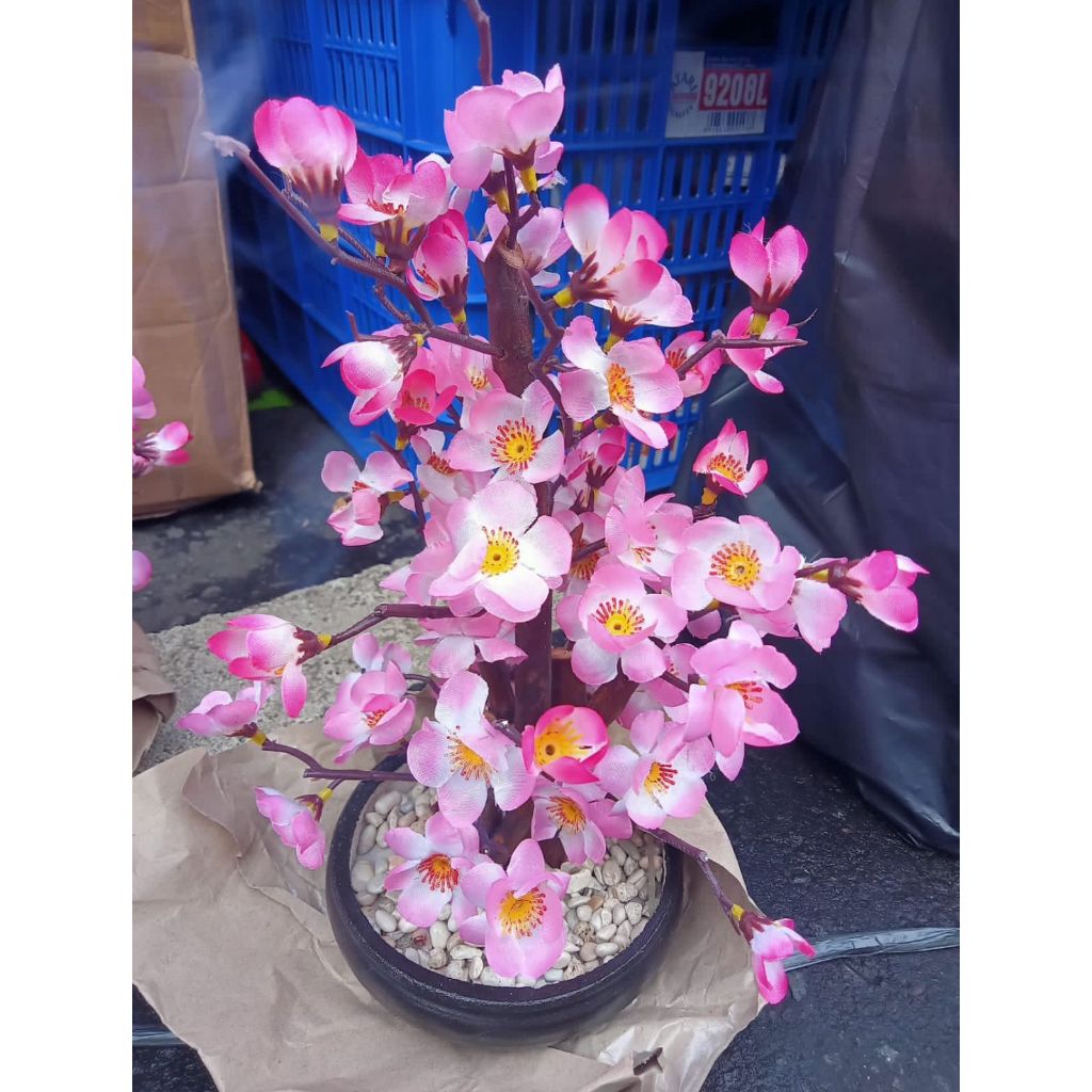 Jual BONUS GANTUNGAN ANGPAO POHON SAKURA MEHWA MEIHUA IMLEK POT 45cm ...