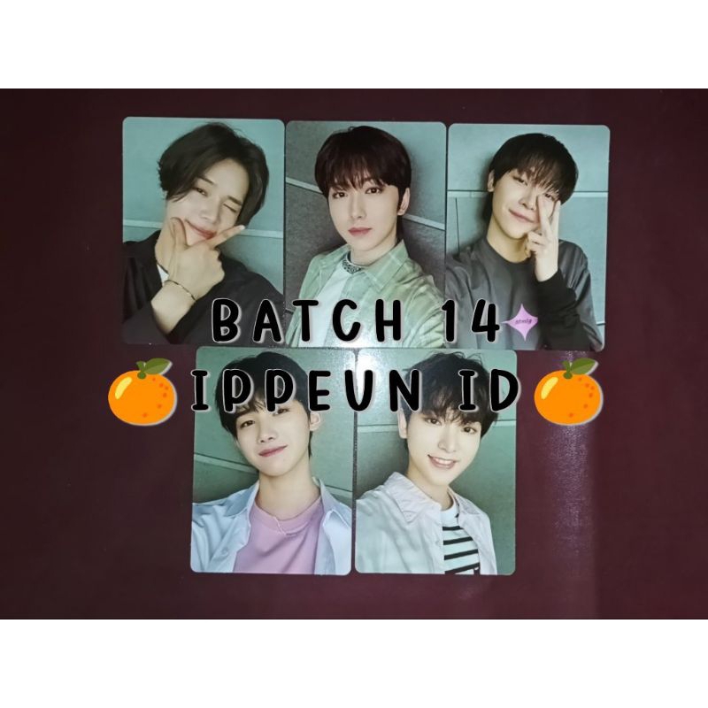 Jual (GROUP ORDER) BATCH 14 PC LIGHTSTICK &TEAM ANDTEAM (BACA DESKRIPSI ...