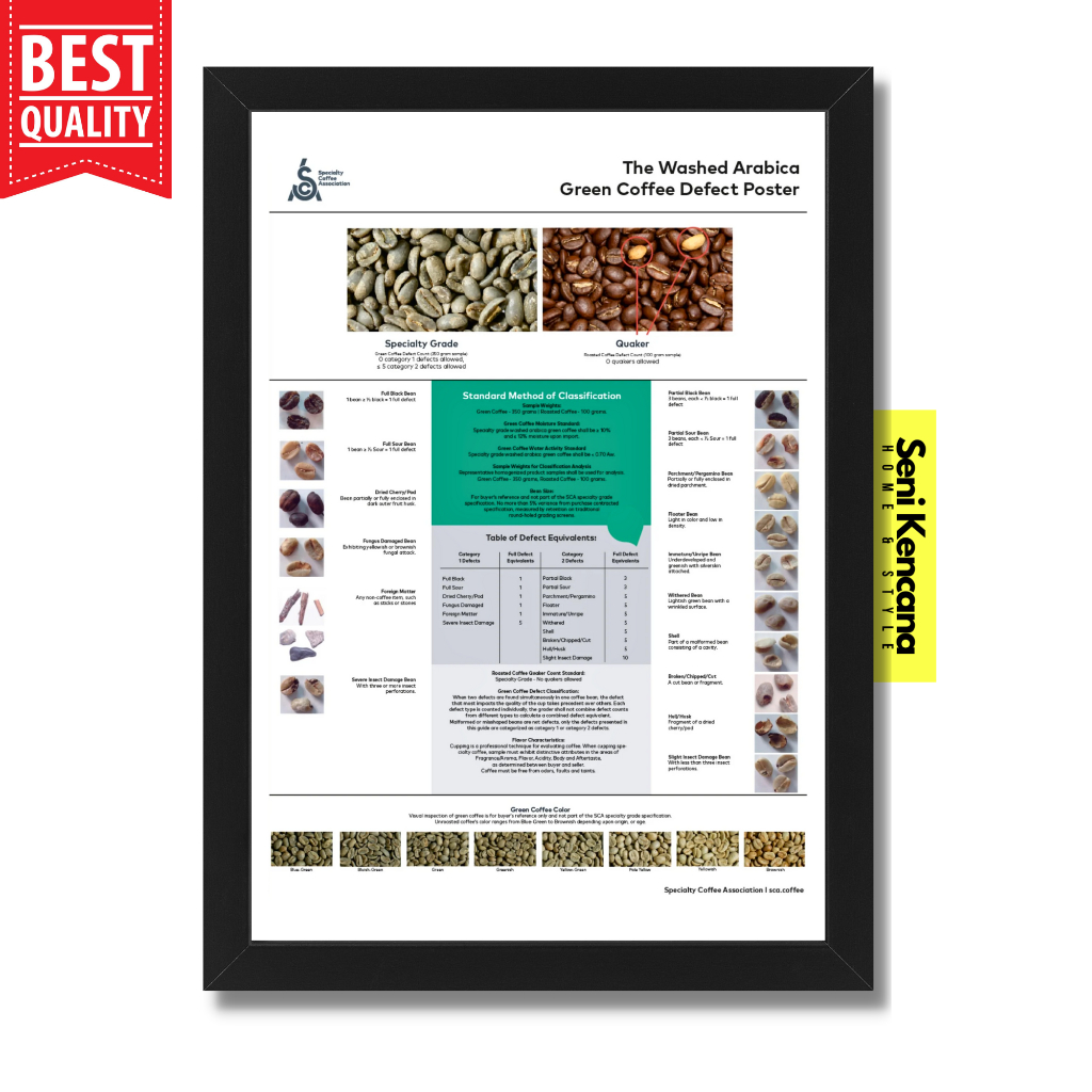 Jual POSTER KOPI THE WASHED ARABICA GREEN COFFEE DEFECT SCA A3+ BINGKAI ...