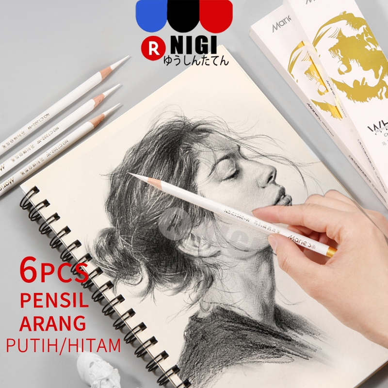 Jual NIGI Pensil Sketsa Profesional Hitam Putih Pensil Arang Gambar ...