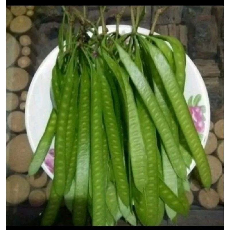Jual PETAI CINA MUDA 150G | Shopee Indonesia