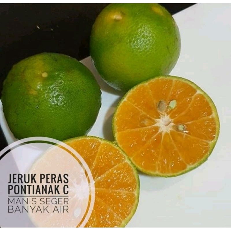 Jual Jeruk peras 1 kg | Shopee Indonesia