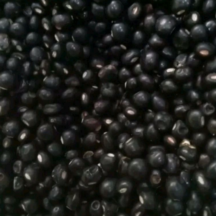 Jual Lebui Lombok 500 gram / Gude Kering Lombok | Shopee Indonesia