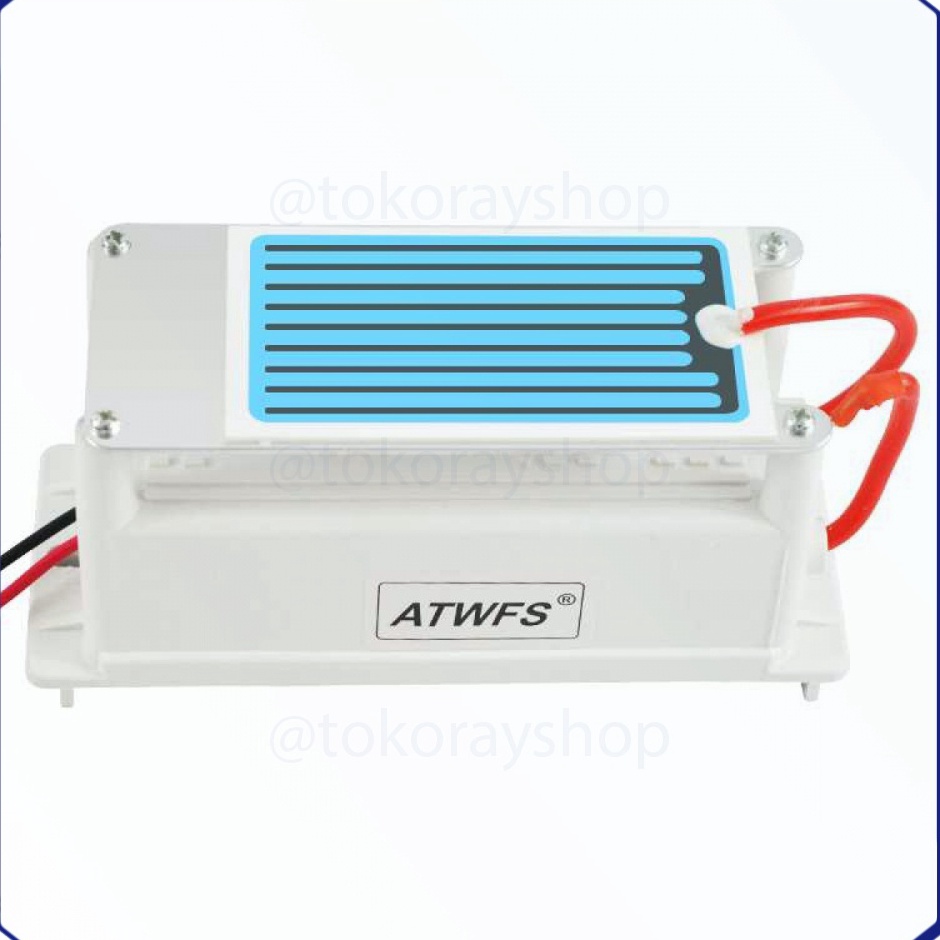 Jual fh Ozonizer DIY Ozone Generator 35gh Car Air Purifier AZYTS Laris | Shopee Indonesia