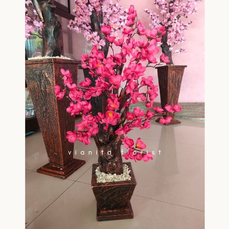 Jual POHON IMLEK BUNGA SAKURA 60 CM | Shopee Indonesia