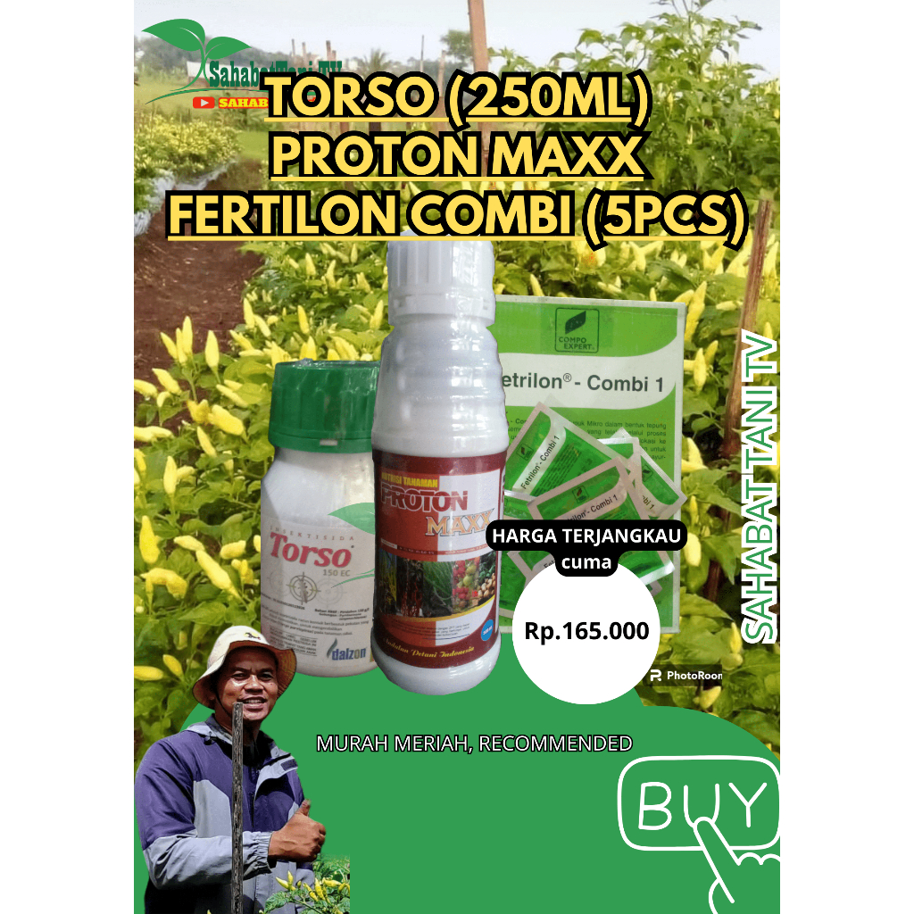 Jual Paket Proton, Torso(250ml), Fertilon Combi(5pcs, 2,5gr) | Shopee ...