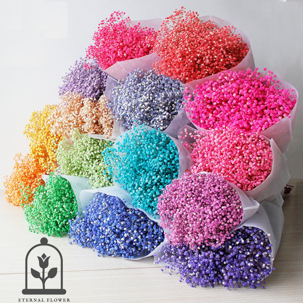 Jual (5 gr) Preserved Baby Breath / Dried Flower Awetan / Bunga Kering ...