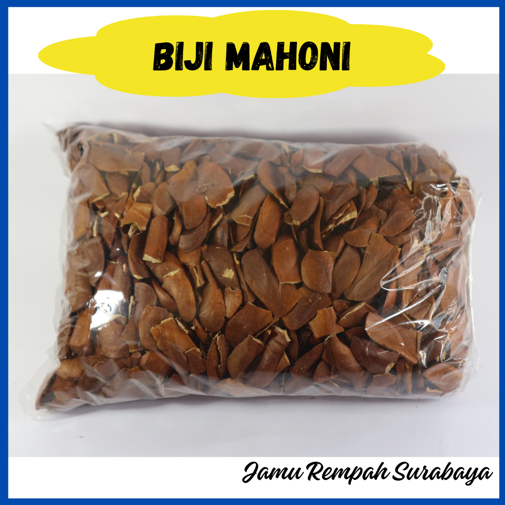 Jual Biji Buah Mahoni Kering 1kg KULIT | Shopee Indonesia