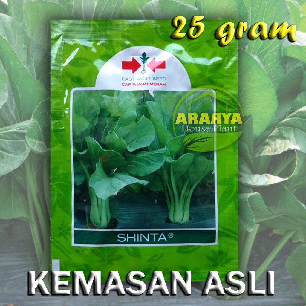 Jual Benih Sawi Shinta 25 gram Bibit Biji Sawi Manis Caisim Panah Merah ...
