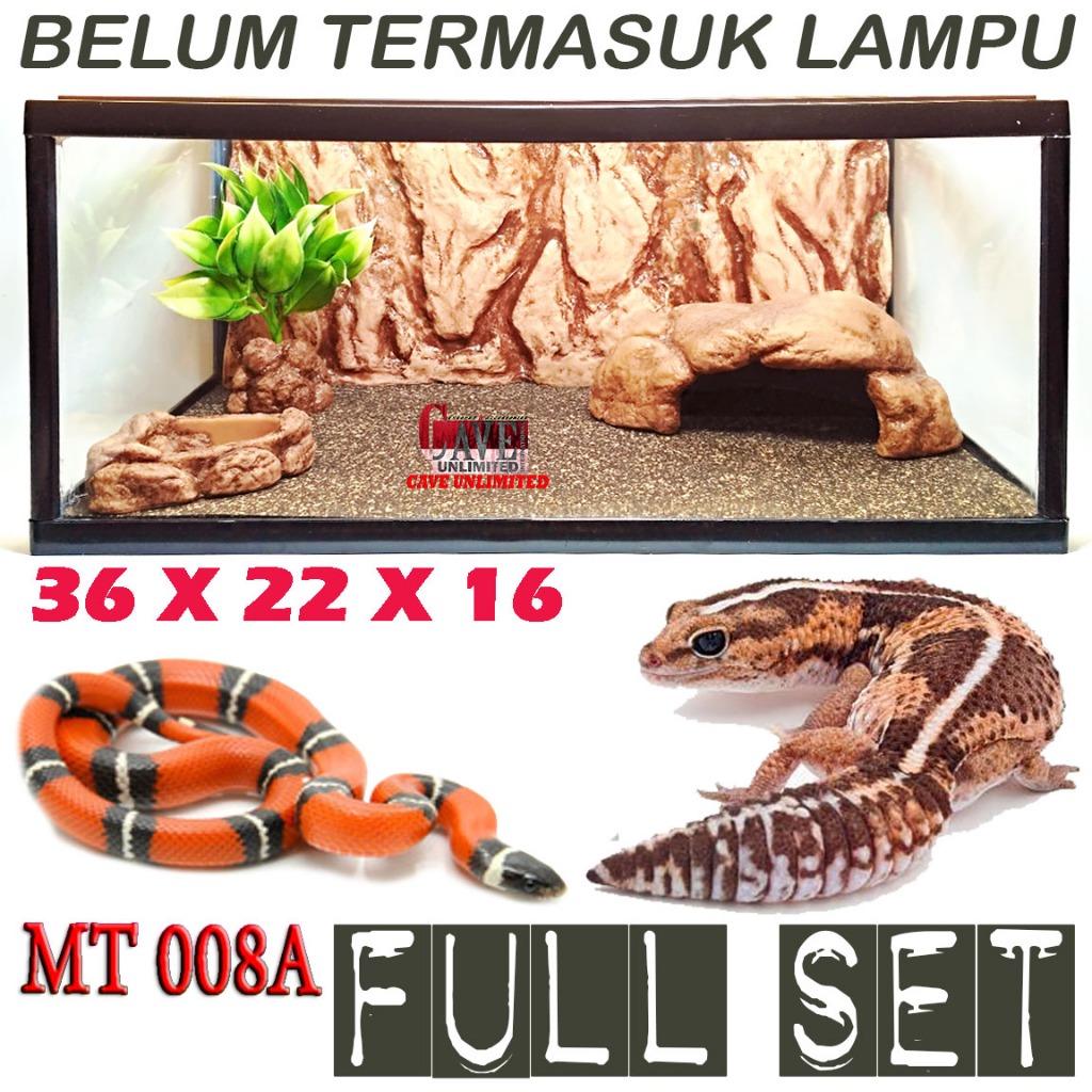 Jual MT008A PAKET TERRARIUM KANDANG REPTILE LEOPARD GECKO BERADED ...