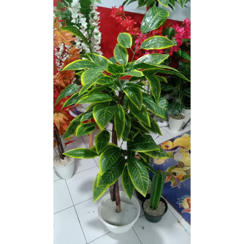 Jual DAUN MANGGA HIJAU RIMBUN+POT | Shopee Indonesia