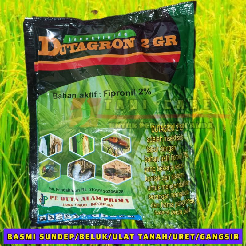 Jual INSEKTISIDA DUTAGRON FIPRONIL 1 KG BASMI ulat tanah dan sundep ...