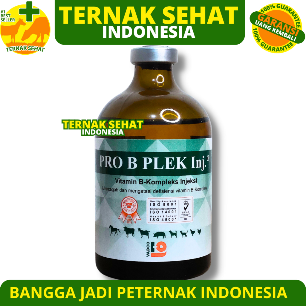 Jual PRO B PLEK INJ 100 ML - Vitamin B kompleks Hewan Sapi Kambing ...