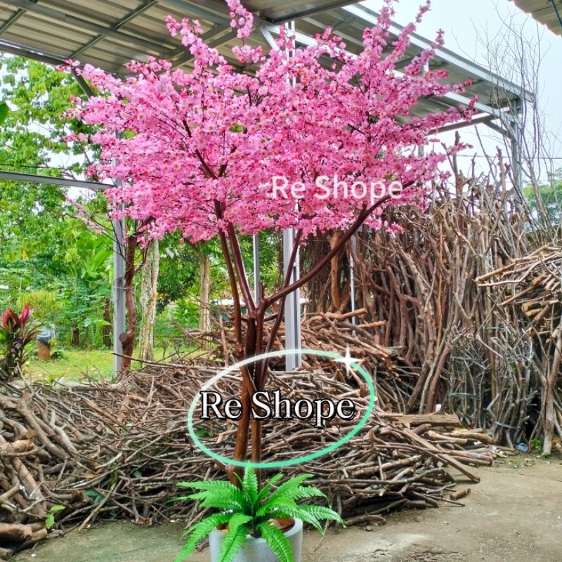 Jual pohon sakura besar 2,5mtr - bunga sakura plastik dekorasi ...