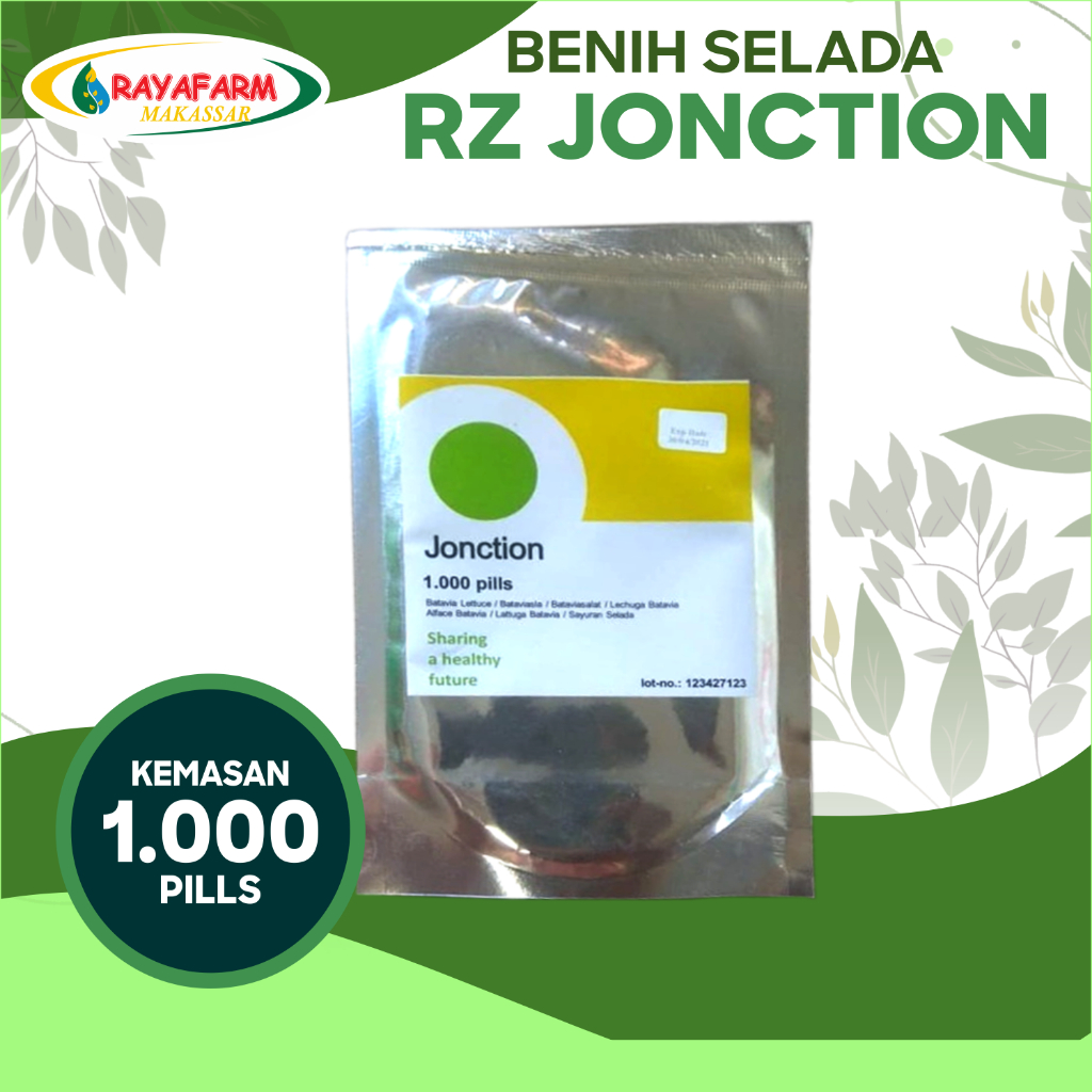 Jual Benih Bibit selada jonction @ 1000 pill - RZ | Shopee Indonesia