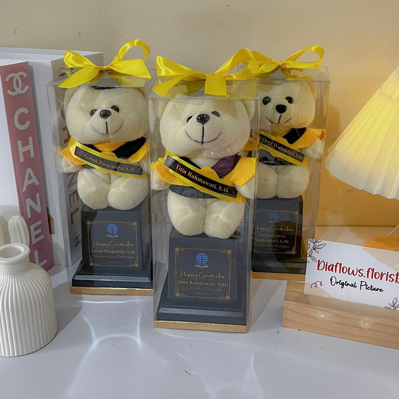 Jual [READY STOCK] Piala Boneka Custom/ Hadiah Wisuda/ Piala Wisuda ...