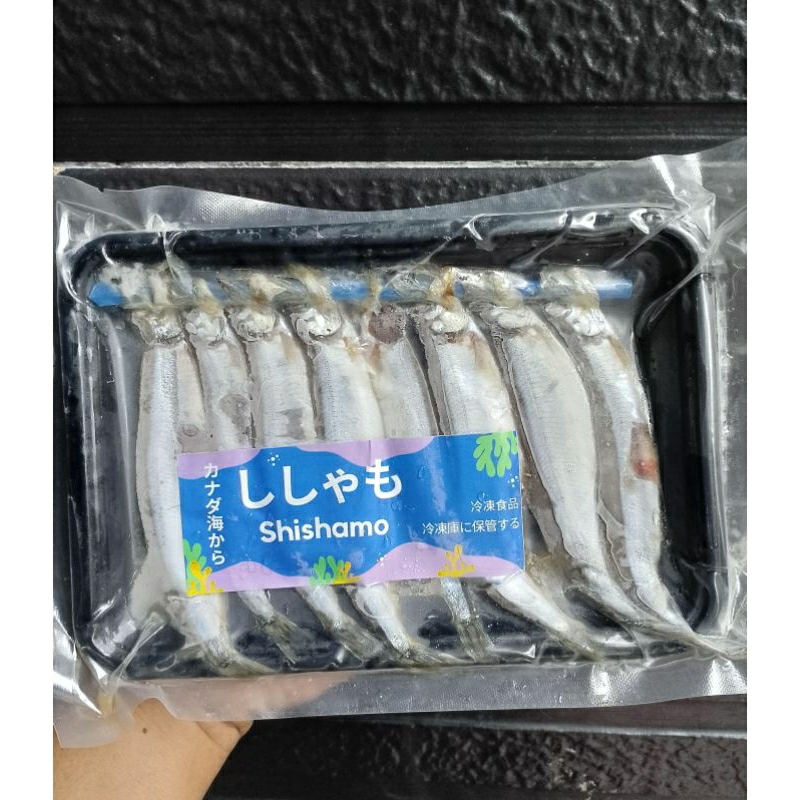 Jual Ikan Shisamo Premium isi 8 | Shisamo Fish | Ikan Capelin ...