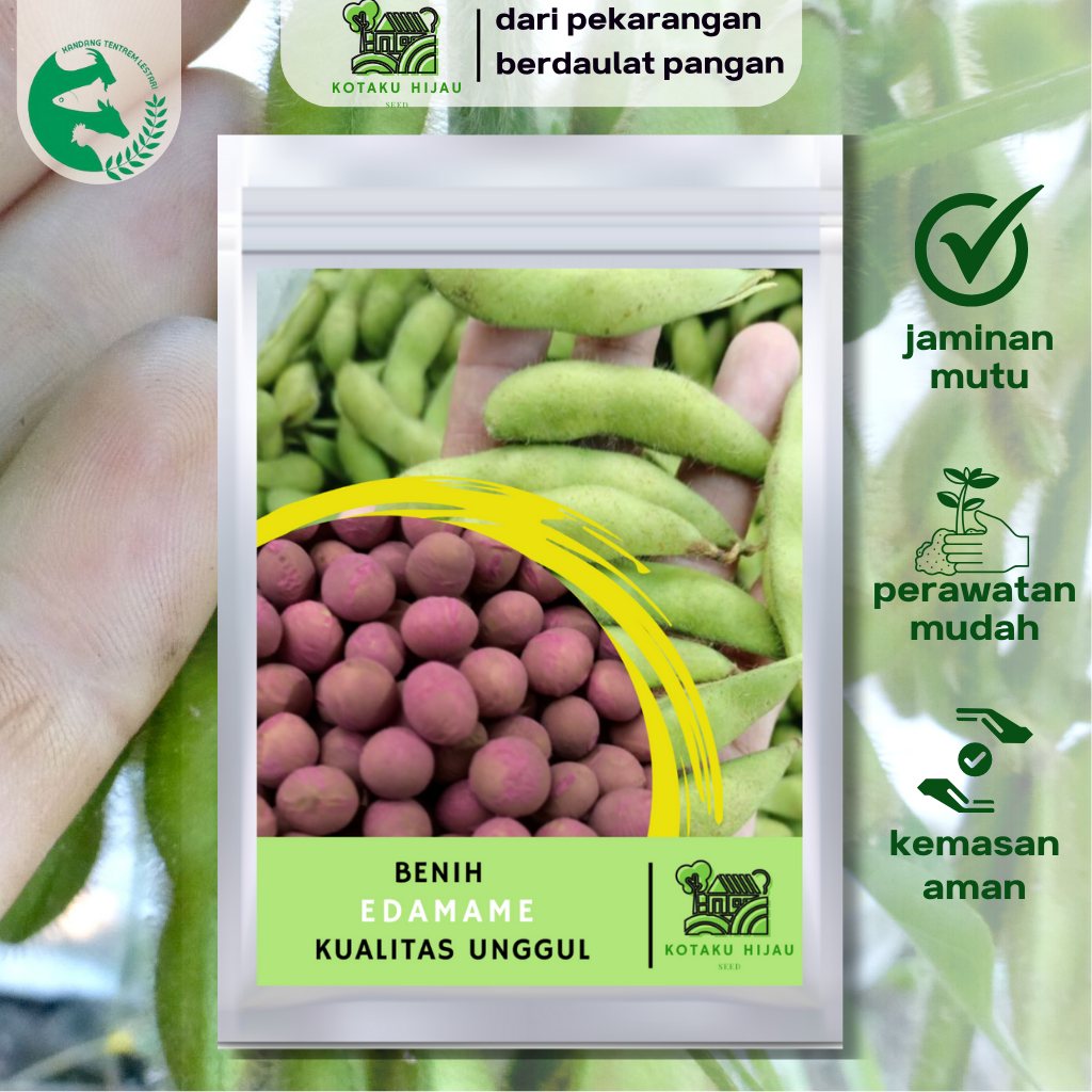 Jual 15 gram Benih Edamame KOTAKU HIJAU Kedelai Jepang Jumbo Ryoko ...