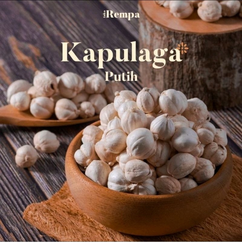 Jual Kapulaga Putih Pesanan | Shopee Indonesia